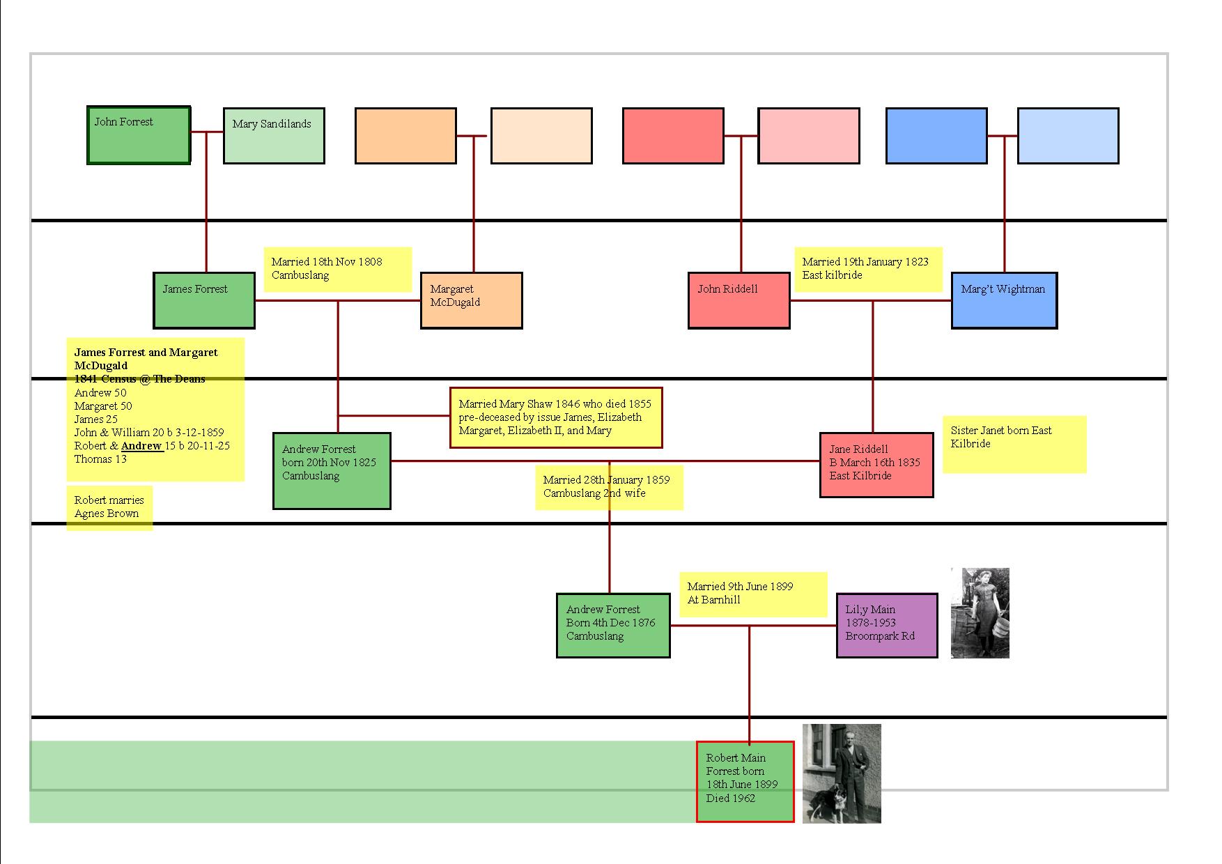 Forrests and Mains Ancestry - Blantyre Project - Official History ...