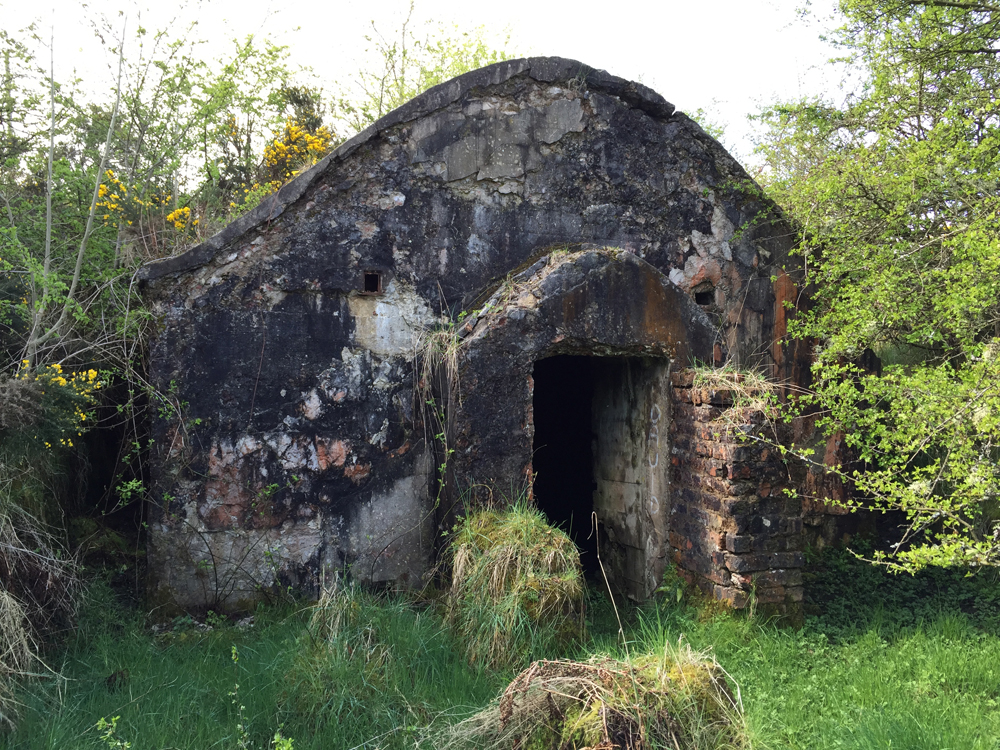 2015 Dixon's Dynamite Store Ruins - Blantyre Project - Official History ...