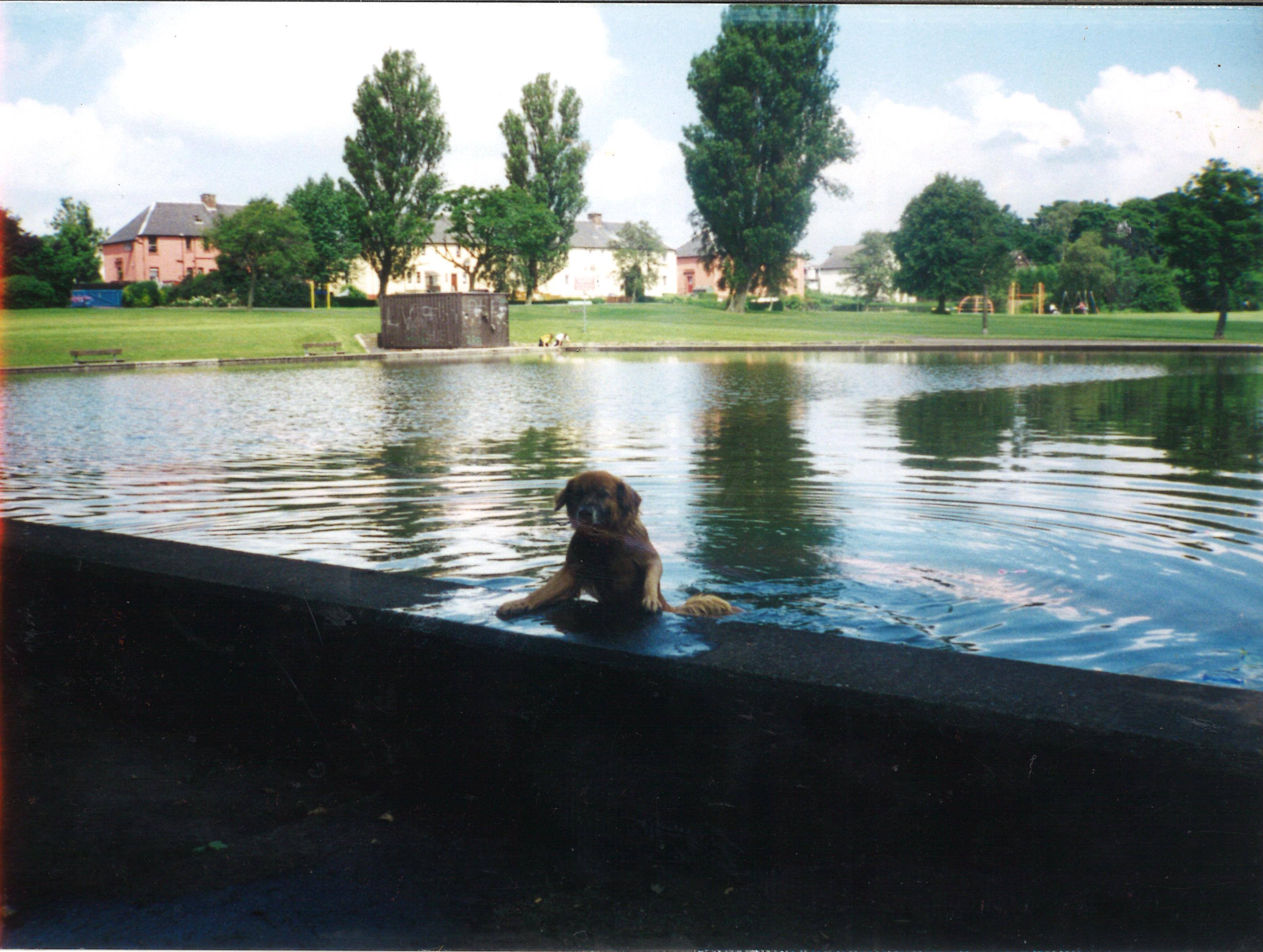 Stonefield Photos 1990s - Blantyre Project - Official History, Lanarkshire