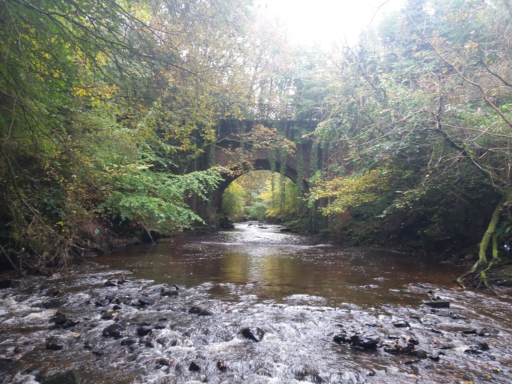 Priory Bridge, 2019 - Blantyre Project - Official History, Lanarkshire
