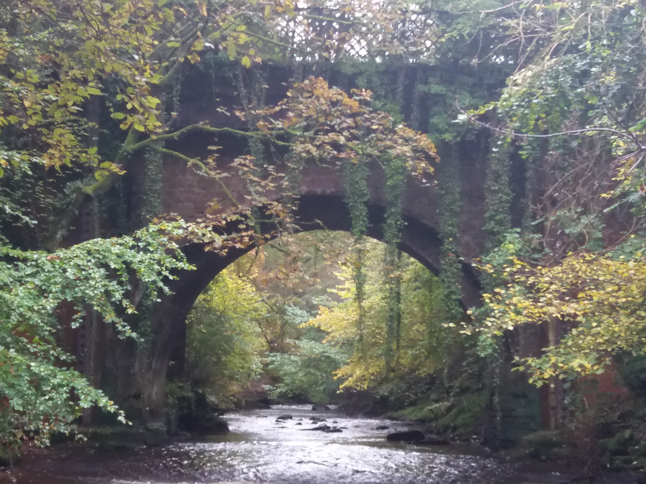 Priory Bridge, 2019 - Blantyre Project - Official History, Lanarkshire